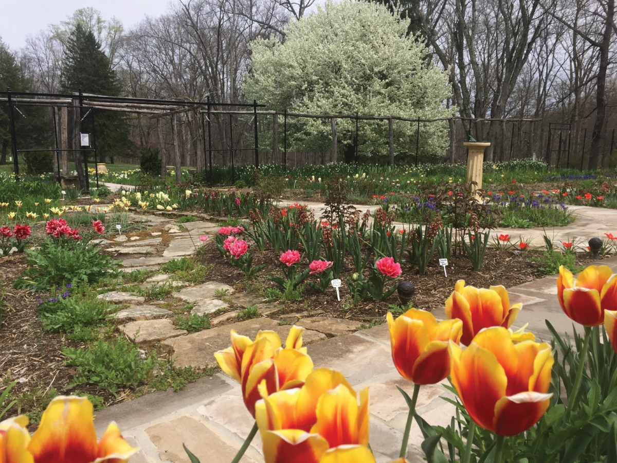 31_HAHS_ch31_Steele_006Alternate[6C] – Historic Artists' Home and Studios