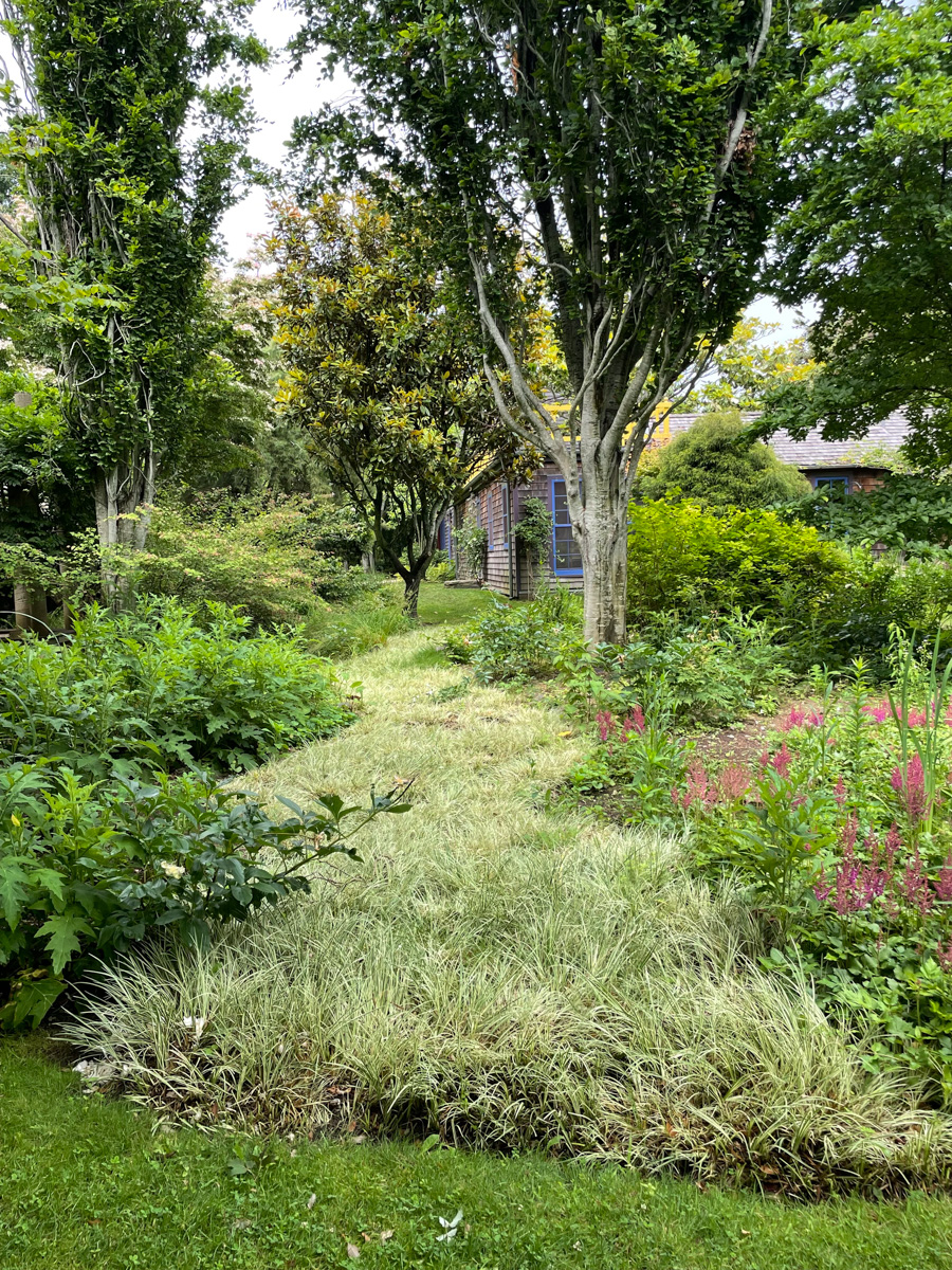 The garden at The Madoo Conservancy. Photograph courtesy The Madoo ...
